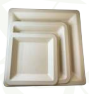 8 inch Square Plate 500 carton | Revo Wholesale LLC